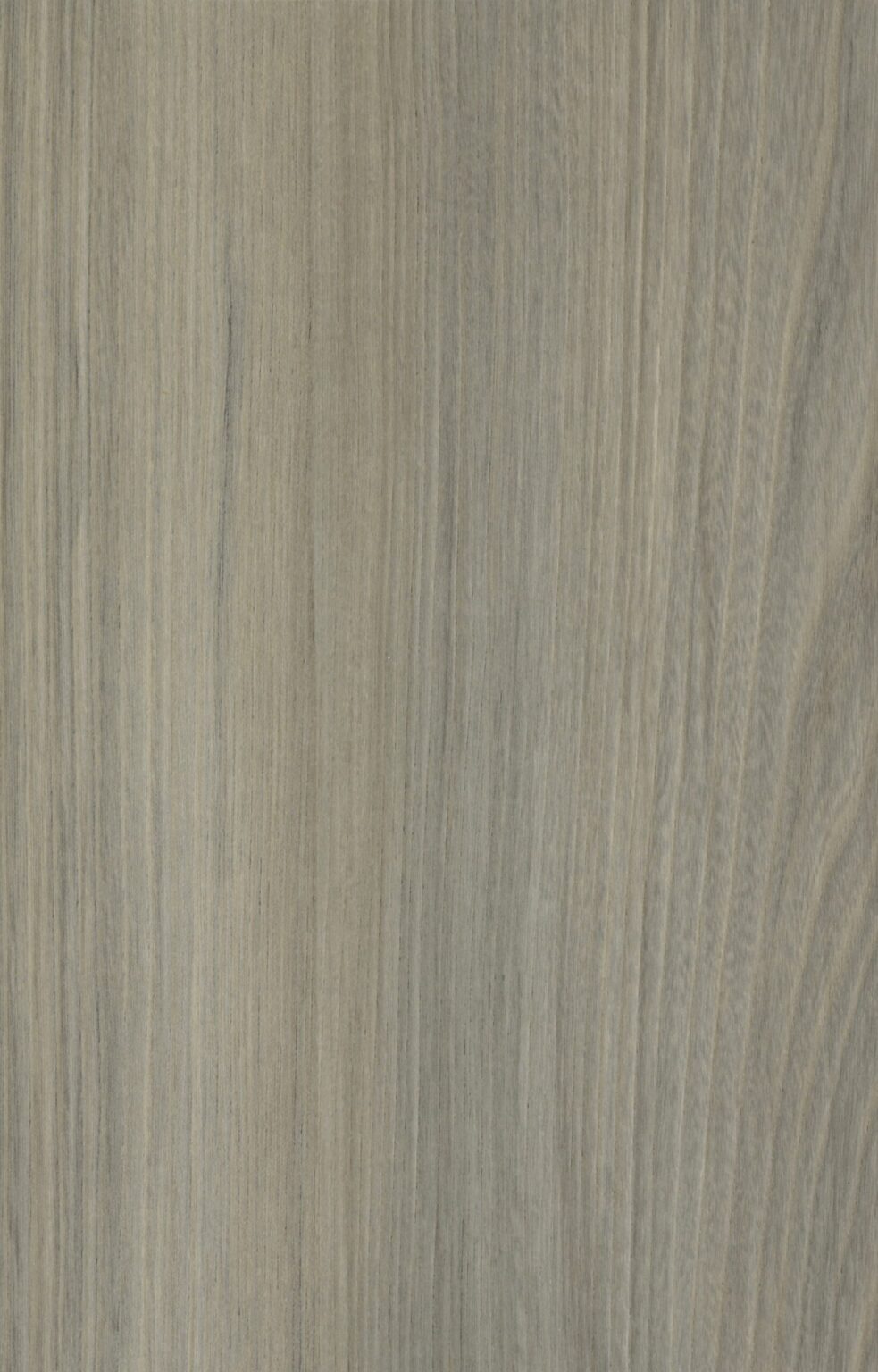 Blanca Elme - Doormark, Inc.